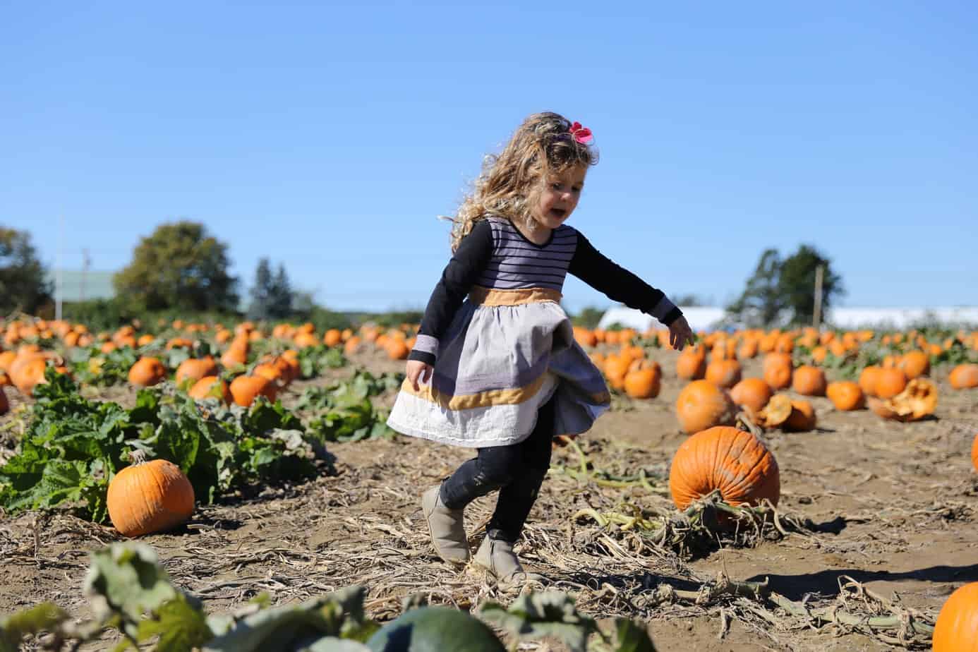Pumpkin Picking Out East | Stroller in the City