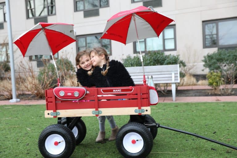 Little Red Wagon Day | Stroller in the City