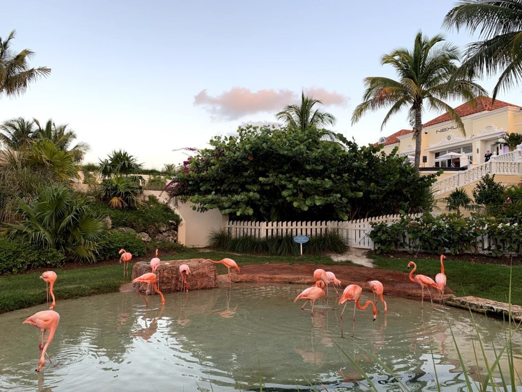 To The Bahamas We Go! Baha Mar, Atlantis and Paradise Island