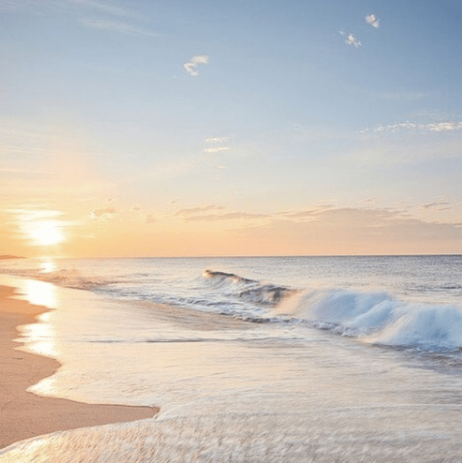 Everything to do in the Hamptons This Summer | Stroller in the City